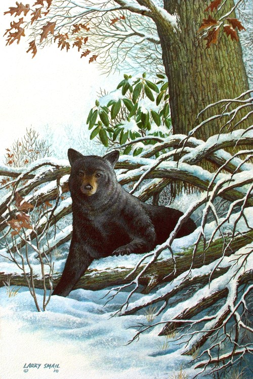 Pennsylvania Big Game Series | Larry A. Smail's Blog